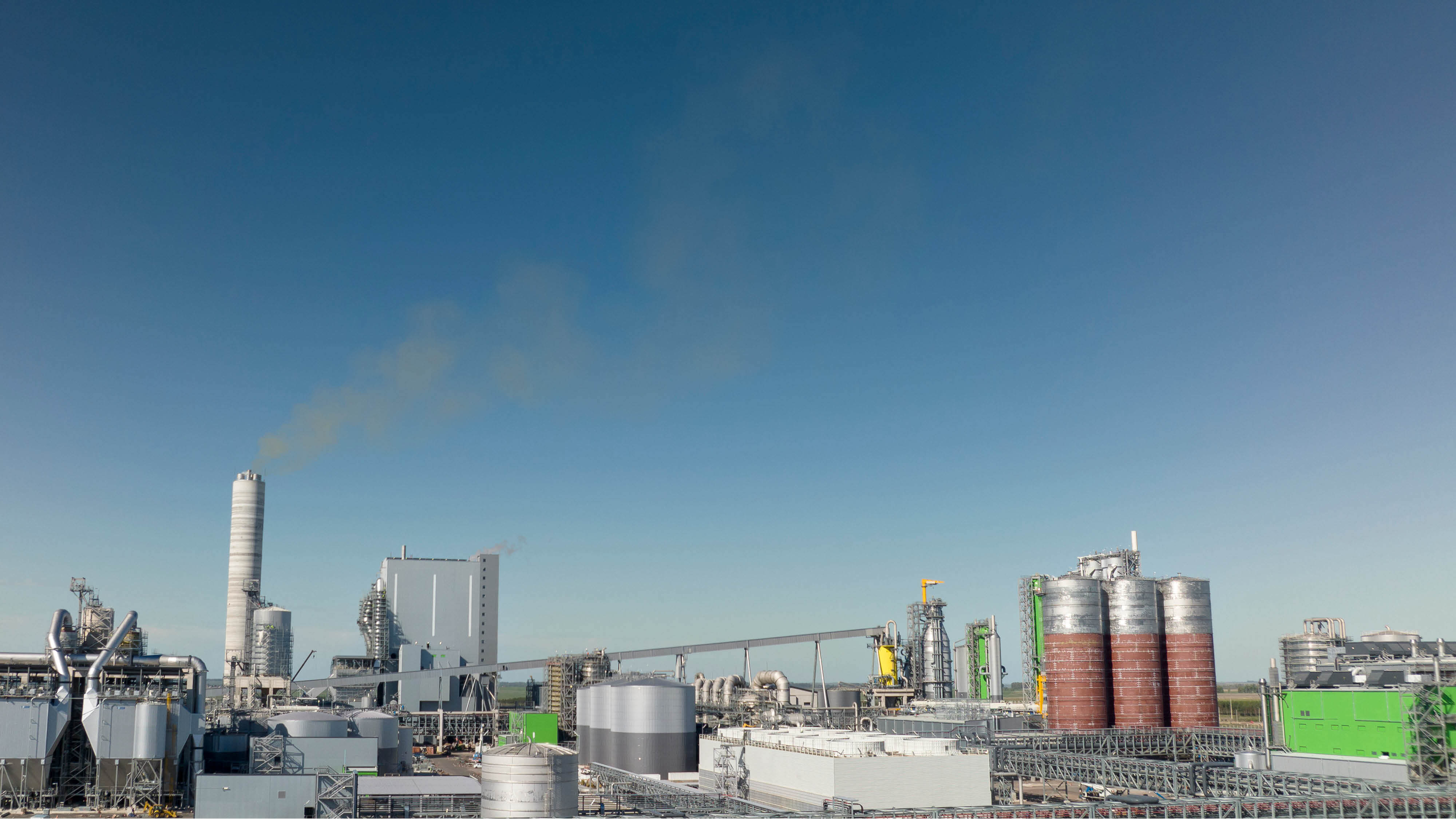 Scientific base ensures sustainable pulp production | UPM Pulp