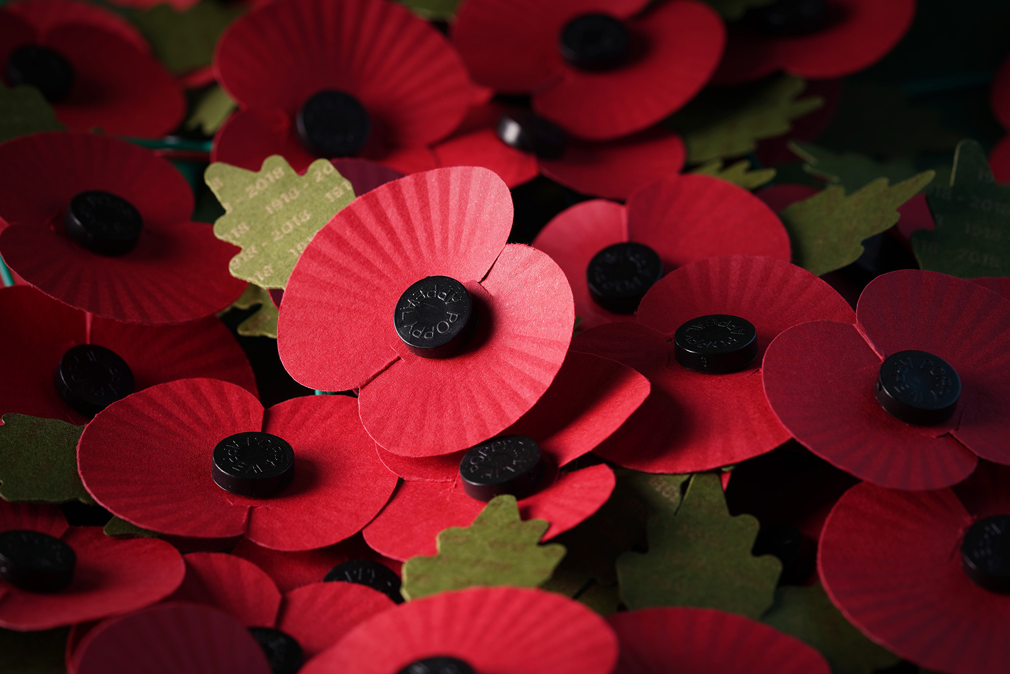 Making every poppy count for Armistice Day | UPM Pulp