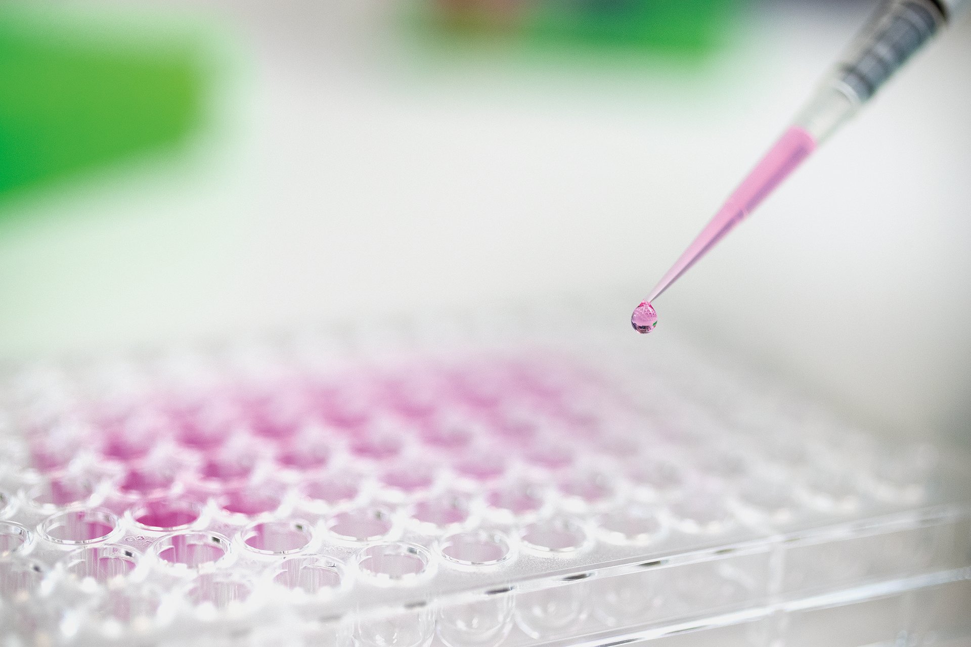 GrowDex hydrogel, the biomedical building block of the future | UPM Pulp