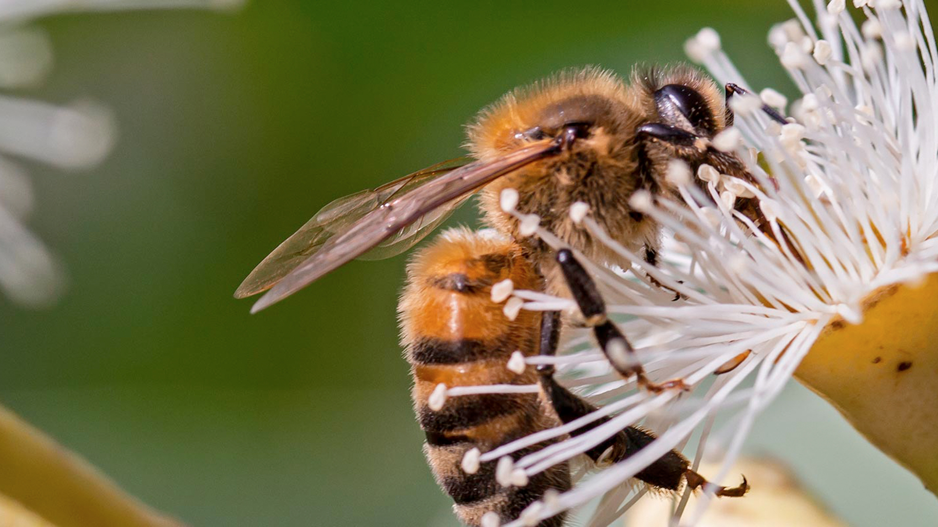 Our approach and commitments | UPM Pulp