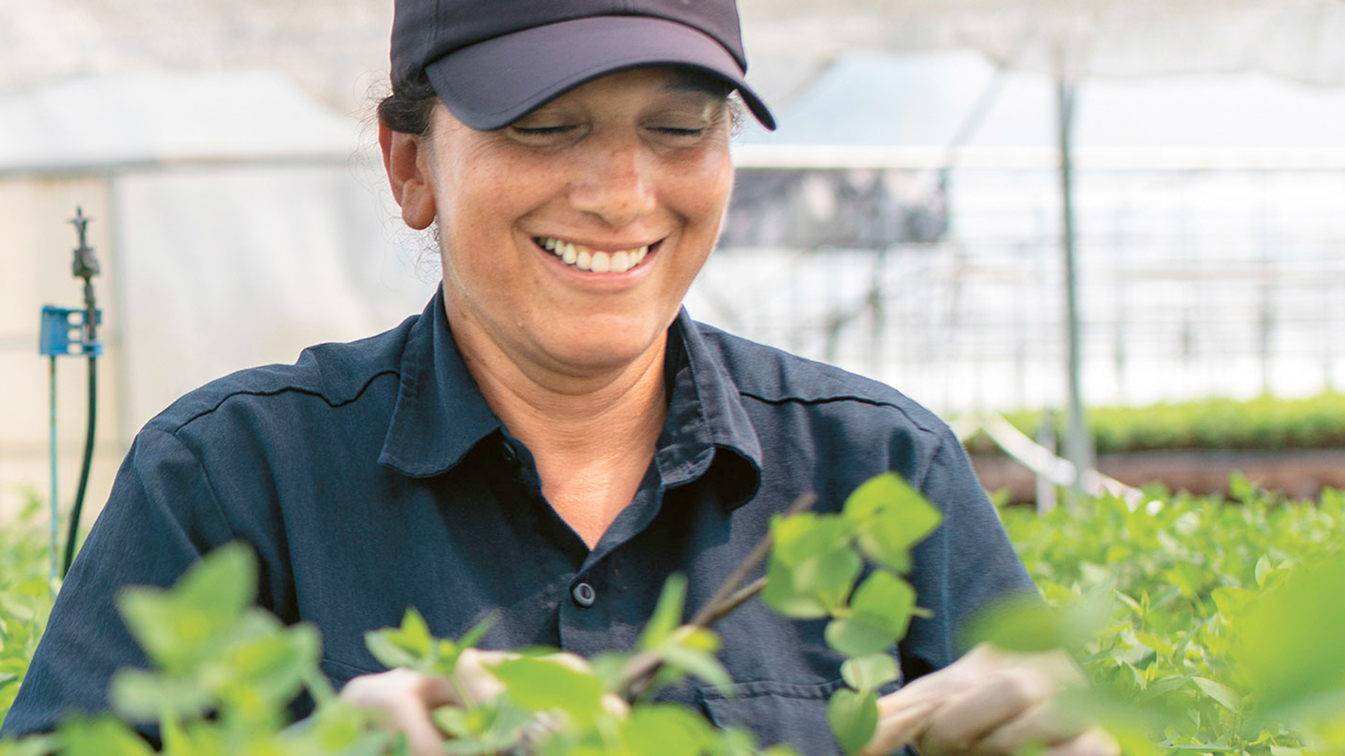 Sustainable pulp | UPM Pulp